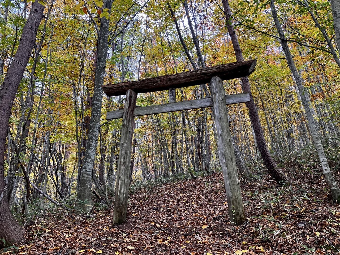 二岐山（男岳）・二岐山（女岳） / 727Kさんの二岐山・大白森山・小白森山の活動データ | YAMAP / ヤマップ