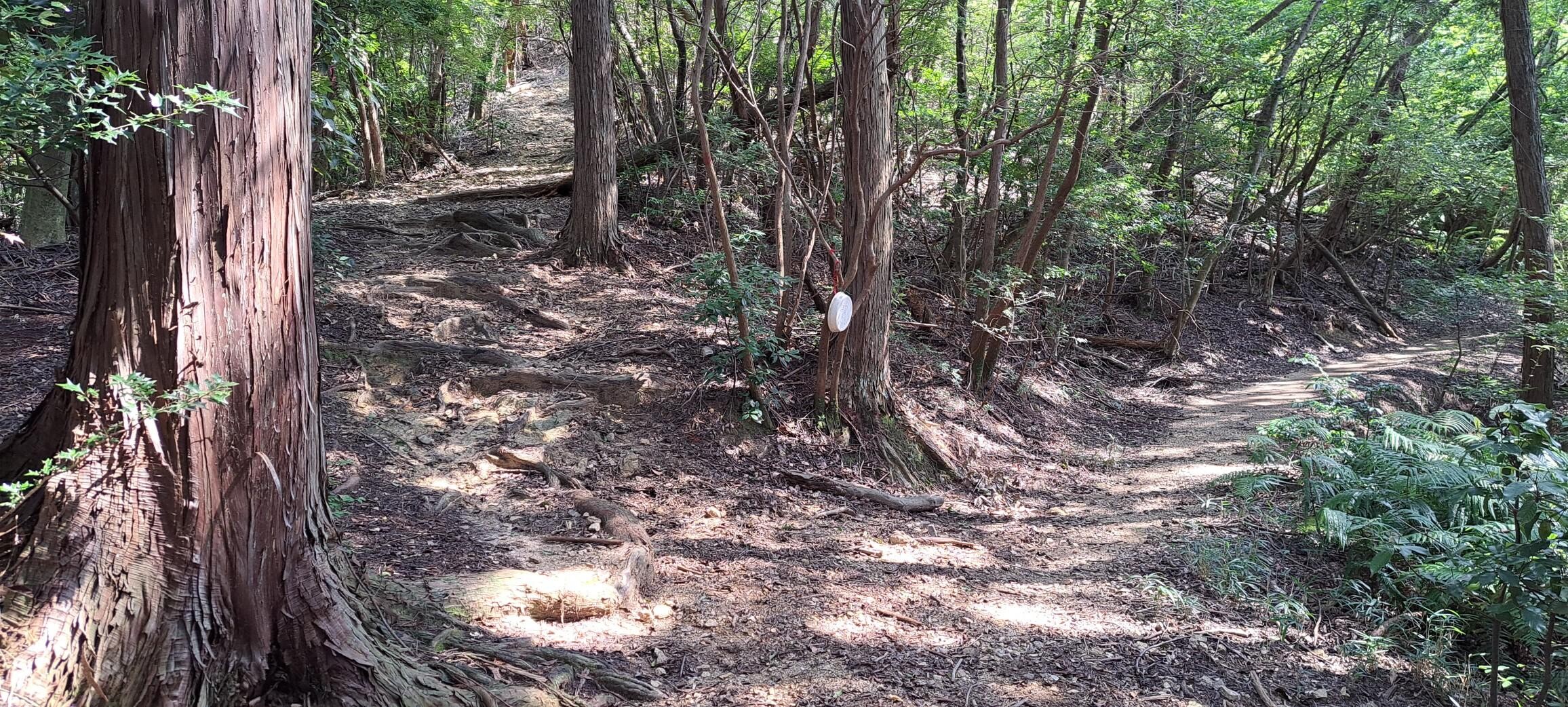 kame11さんの投稿したフィールドメモ | YAMAP / ヤマップ