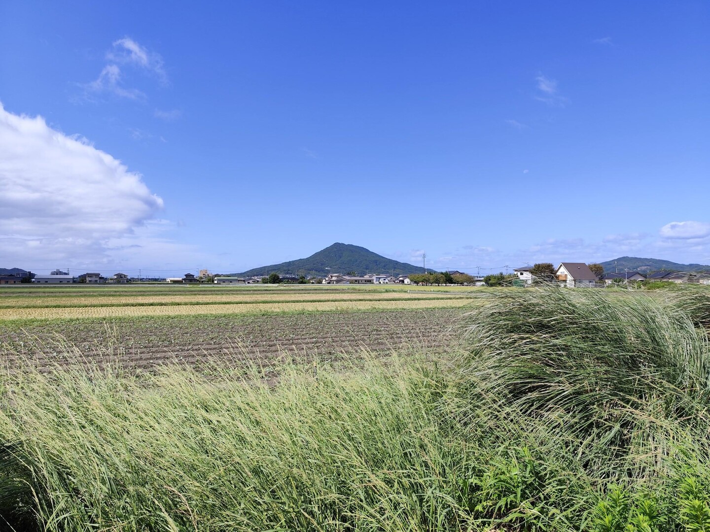 ランニング-2024-09-23 / Kazhiさんのランニングの活動データ | YAMAP / ヤマップ