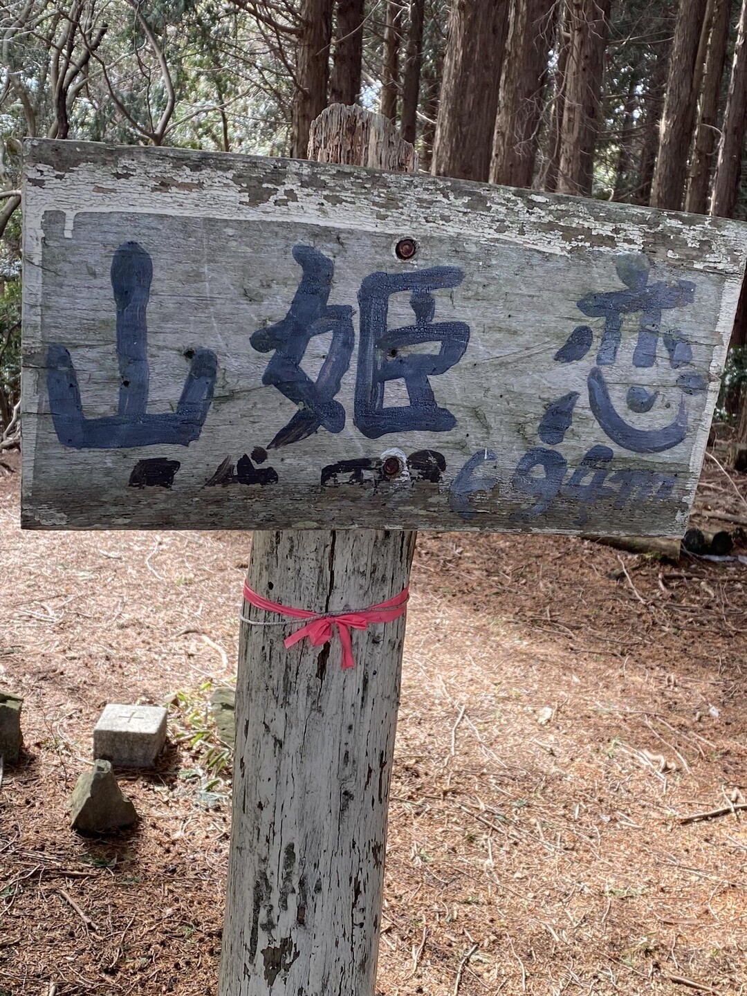 石津御嶽・石津山・恋姫山 今日は1人で。 よっこさんの多度山・美濃松山・石津御嶽の活動データ Yamap ヤマップ