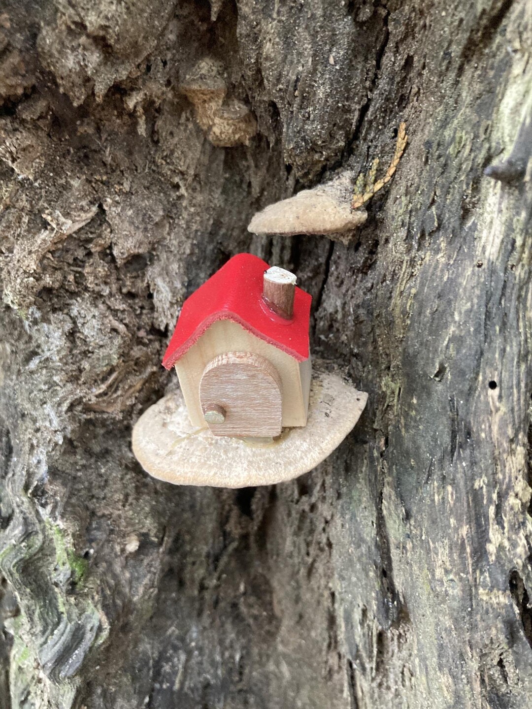 ホームの猿投山で引退です😭 / tuneさんの猿投山・物見山の活動日記 | YAMAP / ヤマップ