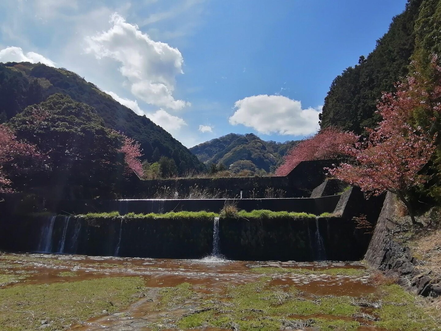 飯盛山🍚 / mimiさんの多度山・美濃松山・石津御嶽の活動データ | YAMAP / ヤマップ