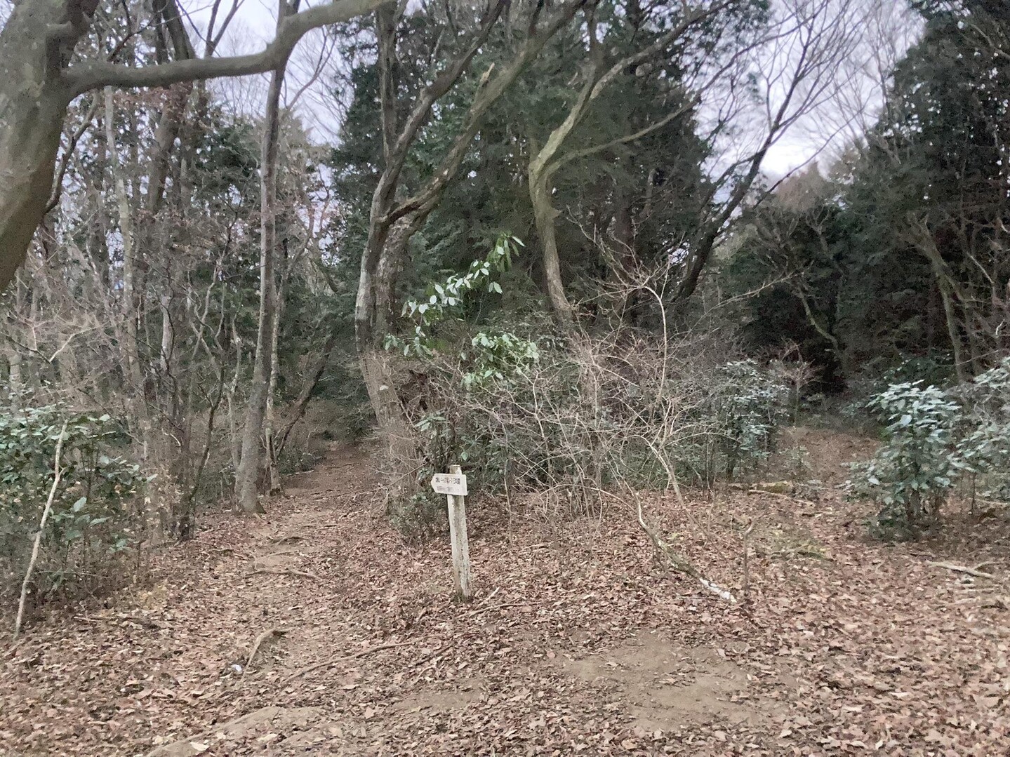 sadaさんの投稿したフィールドメモ | YAMAP / ヤマップ