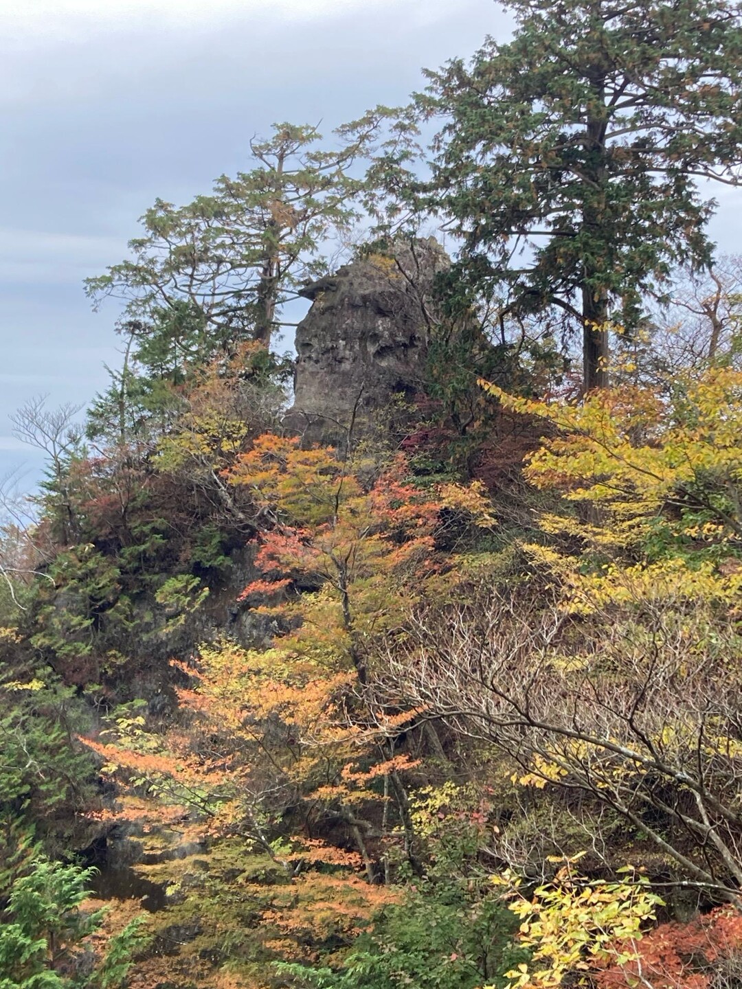 豊前坊からハイキング / かめぞーmamaさんの英彦山の活動データ | YAMAP / ヤマップ