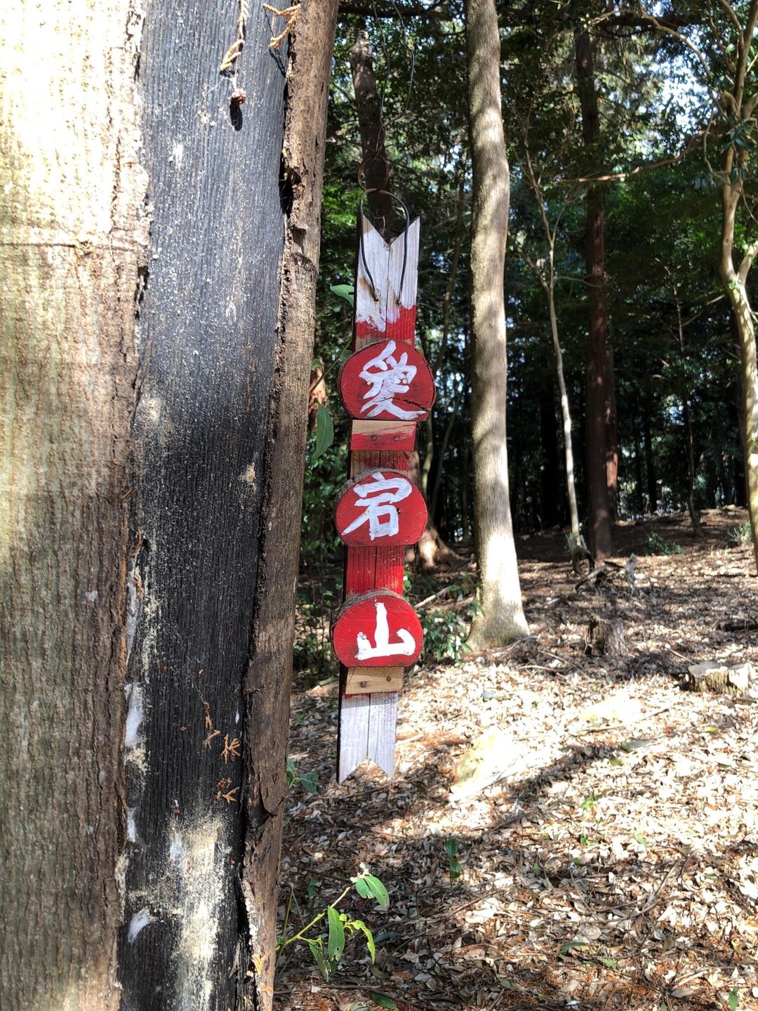 城山・愛宕山・二子山 / Zak-Sanさんの烏ヶ岳・鬼ヶ城の活動データ | YAMAP / ヤマップ