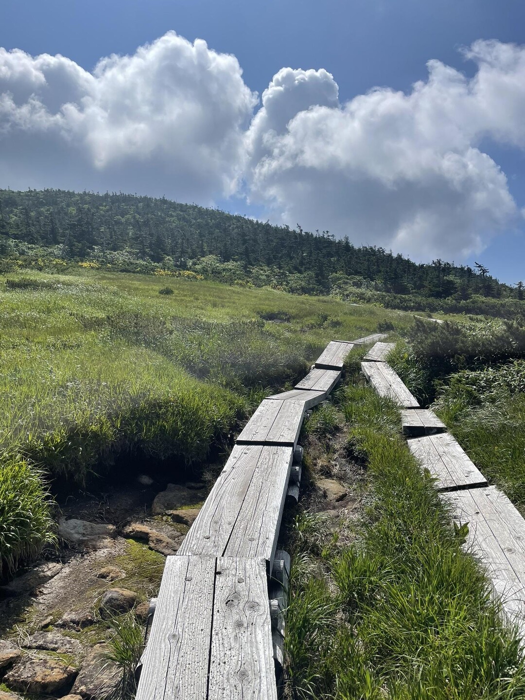 東北遠征2日目！吾妻山最高峰西吾妻山⛰️ / akkoさんの吾妻山・一切経山の活動データ | YAMAP / ヤマップ