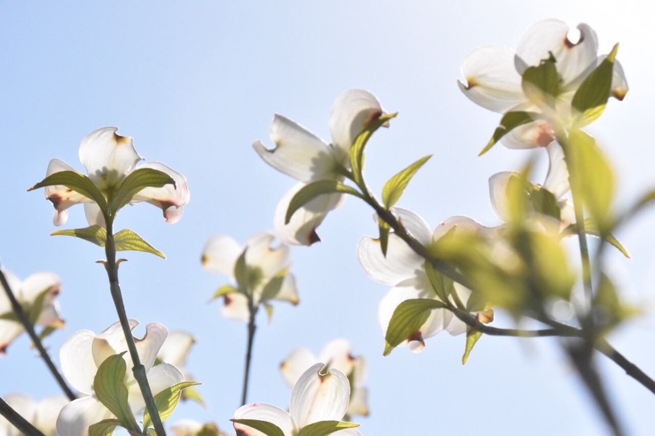 miのページ | YAMAP / ヤマップ