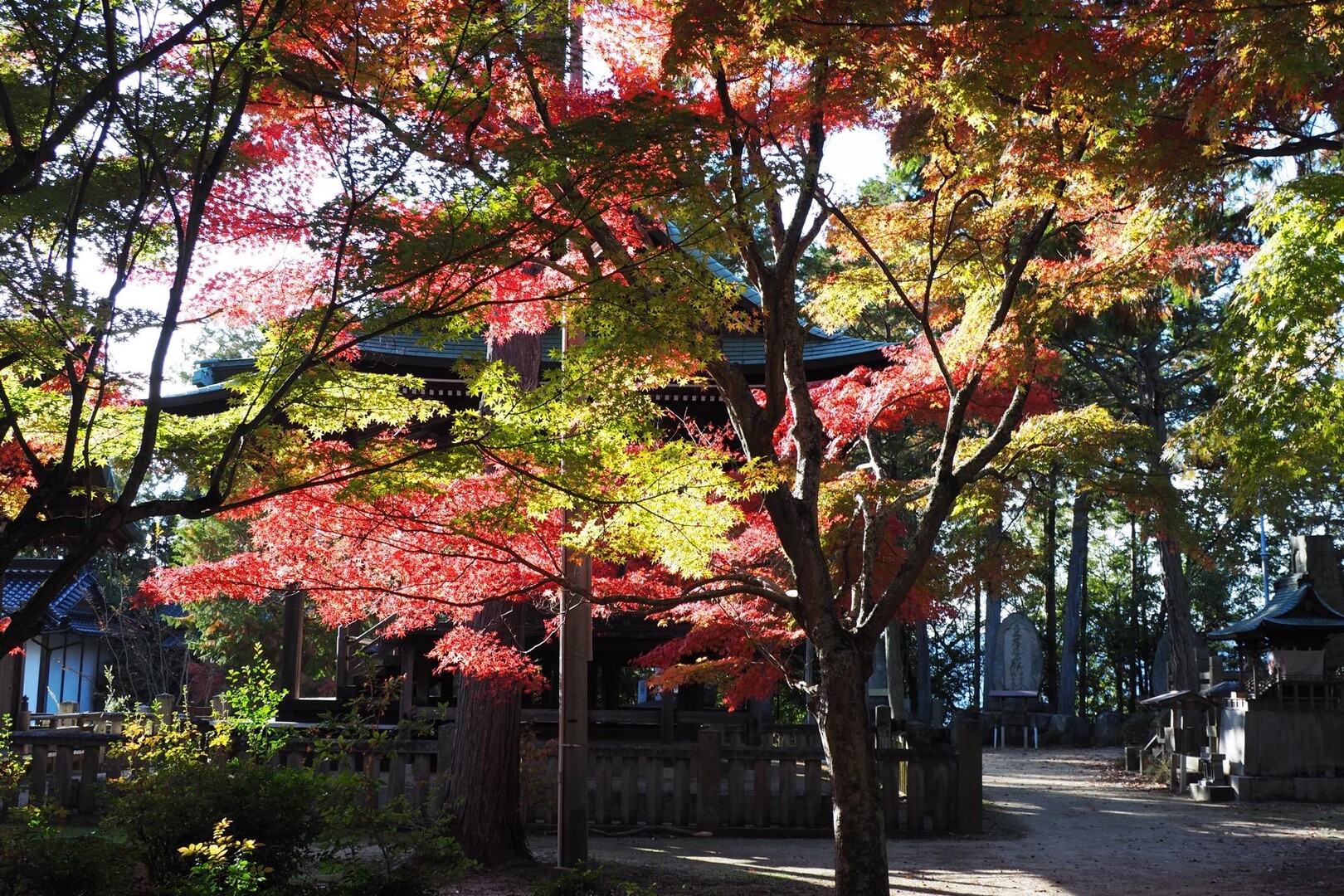 龍王山・三上山 / cocoさんの龍王山・三光山・名越山の活動データ | YAMAP / ヤマップ