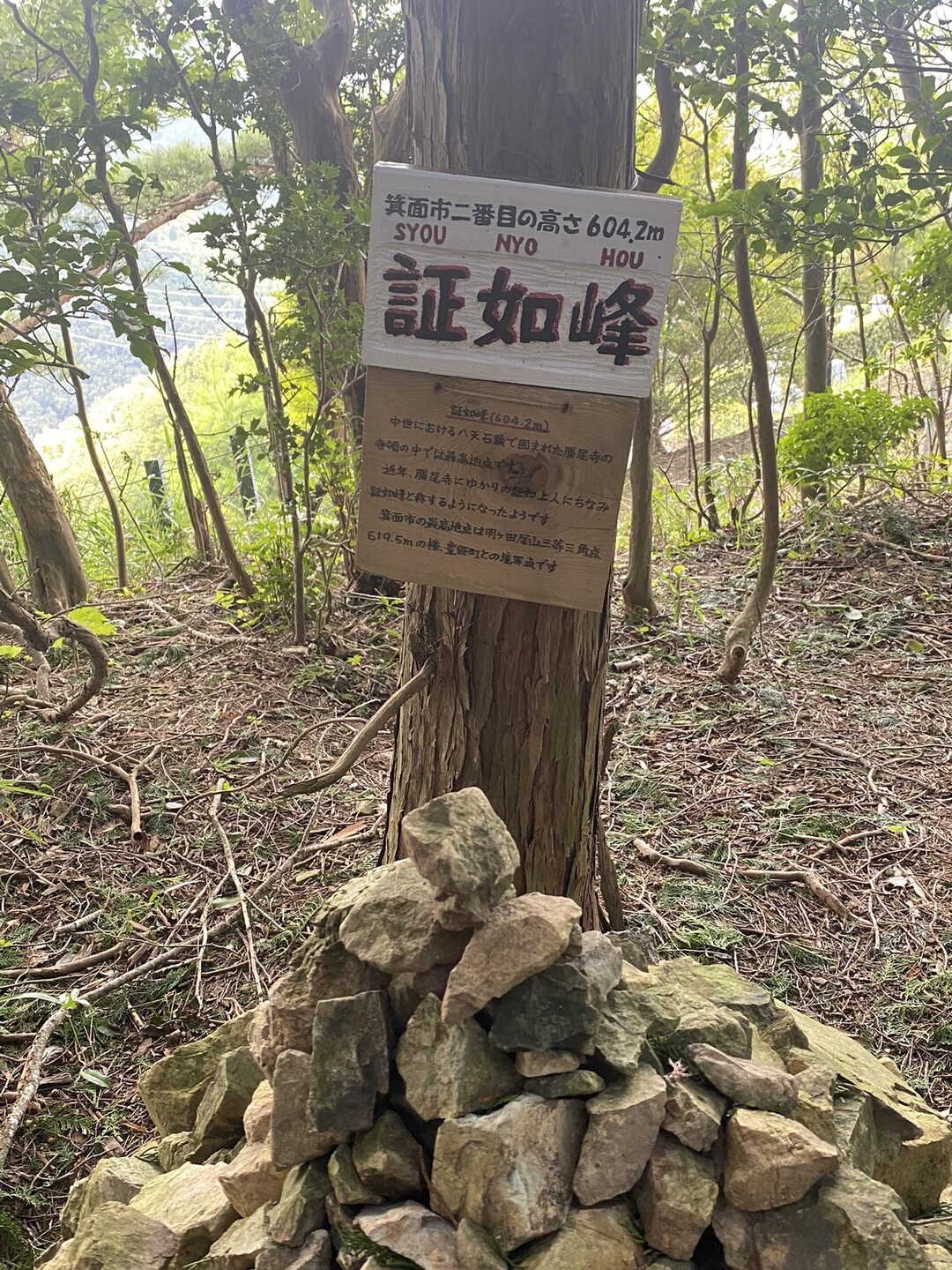 証如峰 / lala laneさんの六個山・鉢伏山・明ヶ田尾山・五月山の活動データ | YAMAP / ヤマップ