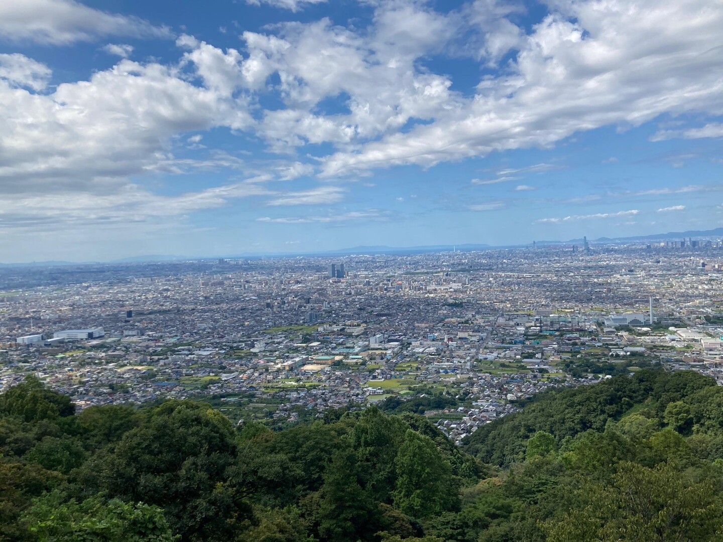 鳴川⇆水呑 / msr0331さんの生駒山・神津嶽・大原山の活動データ | YAMAP / ヤマップ
