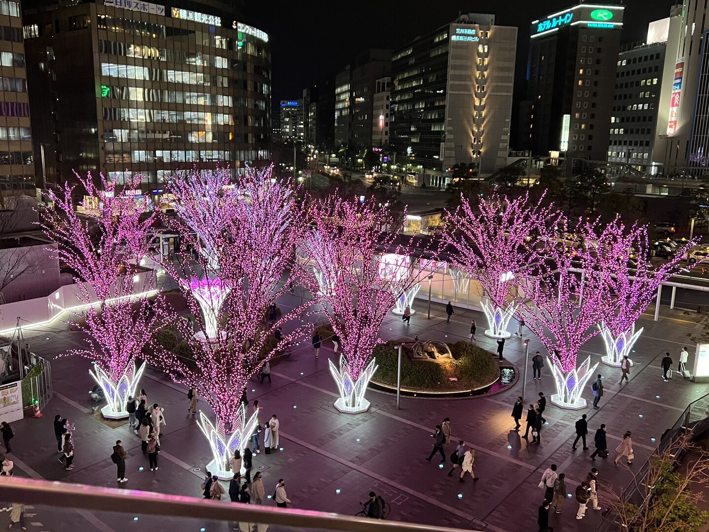 久々に見たJR博多駅前広場の、さくらイル... / FW16さんのモーメント | YAMAP / ヤマップ