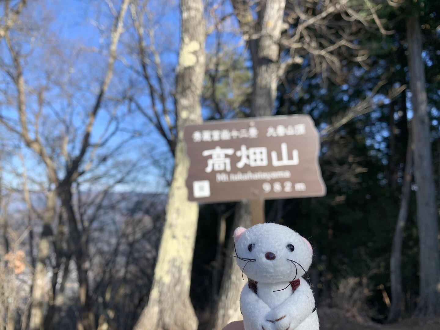 高畑山・倉岳山 秀麗富嶽#9 / ARさんの倉岳山・高畑山・九鬼山の活動データ | YAMAP / ヤマップ