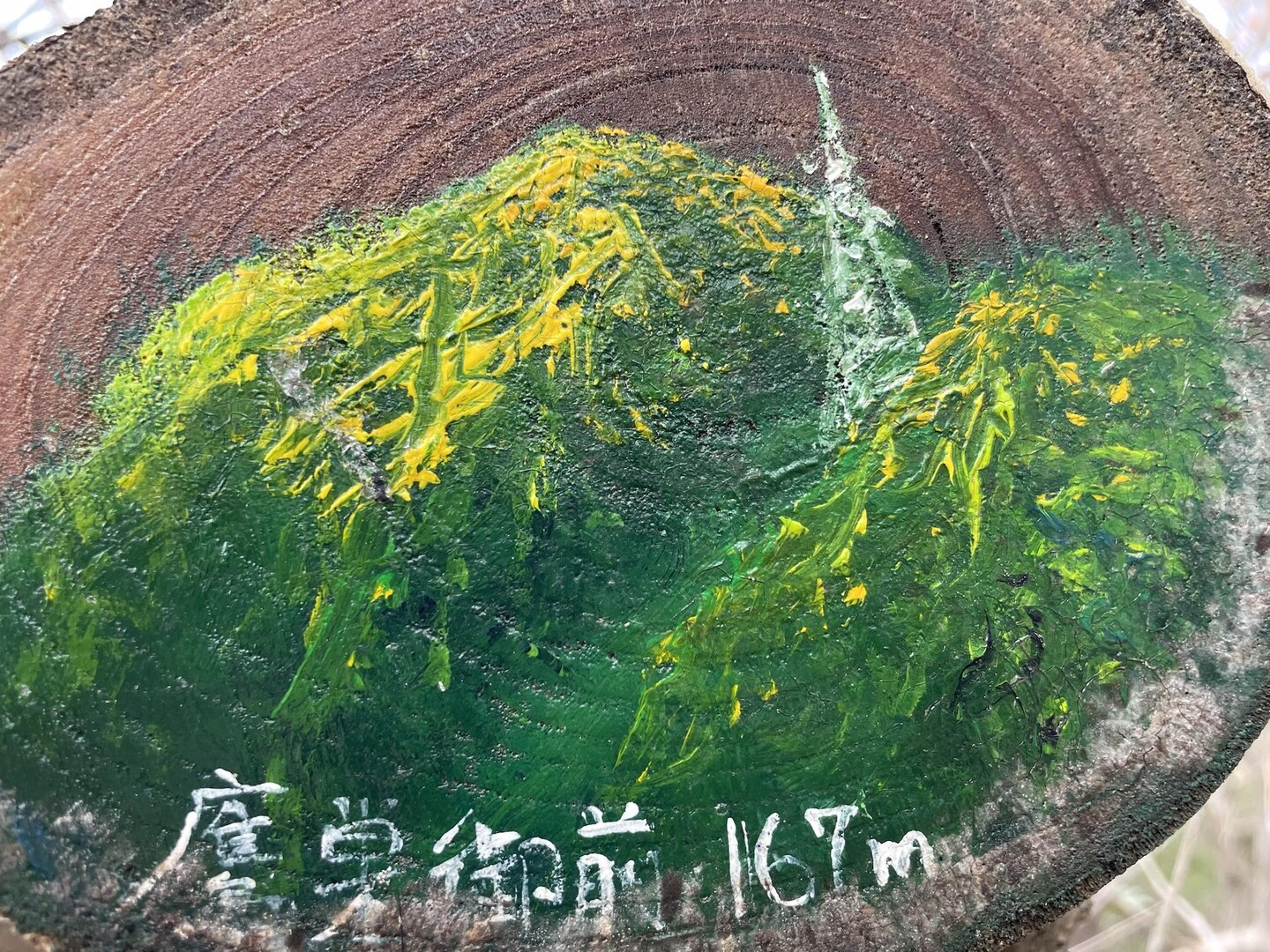 野一色権現山・洞山・鷹巣御前 / MKSハイキングさんの金華山・洞山・舟伏山の活動データ | YAMAP / ヤマップ