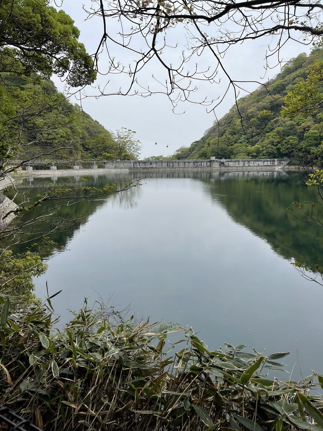 GWテント泊前夜… / kozyさんの六甲山・長峰山・摩耶山の活動データ | YAMAP / ヤマップ