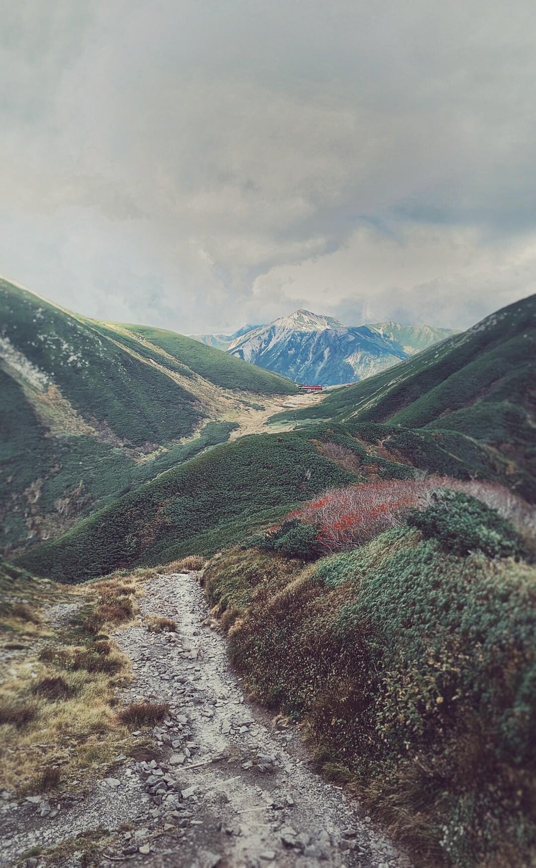 双六岳・丸山・三俣蓮華岳・鷲羽岳・弓折岳 / U-ME(うめ)さんの槍ヶ岳・穂高岳・上高地の活動データ | YAMAP / ヤマップ