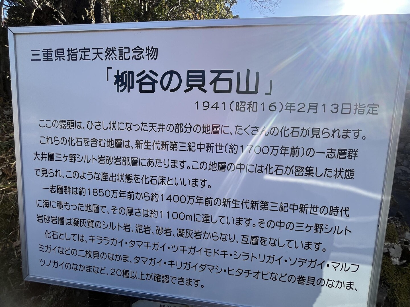 貝石山で化石探し 二箇所ほど回ってきまし... / TRA01さんのモーメント | YAMAP / ヤマップ