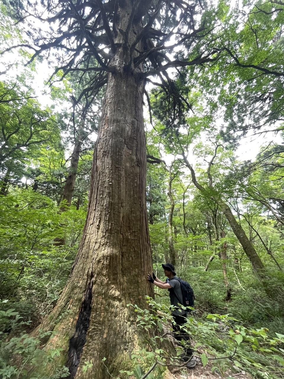 yoshiのページ | YAMAP / ヤマップ