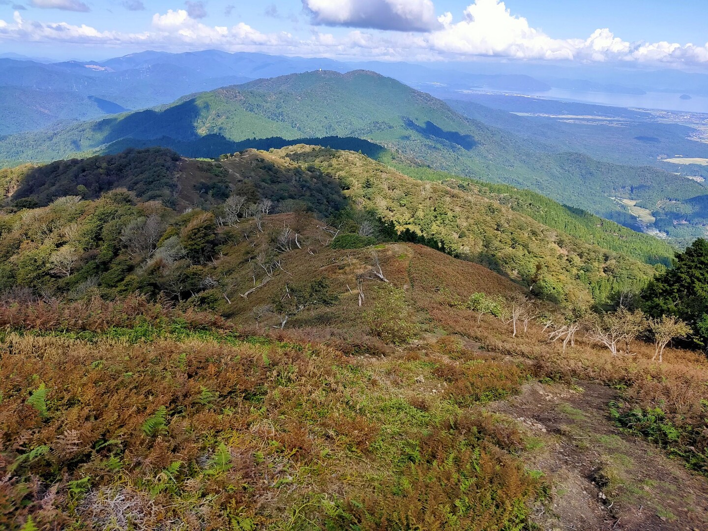 比良比叡トレイル3/4(武奈ヶ岳〜釣瓶岳〜地蔵峠) イブルキノコバ・武奈ヶ岳・釣瓶岳・イクワタ峠・地蔵山 / ひでokさんの比良山地・武奈ヶ岳・釈迦岳の活動データ | YAMAP / ヤマップ
