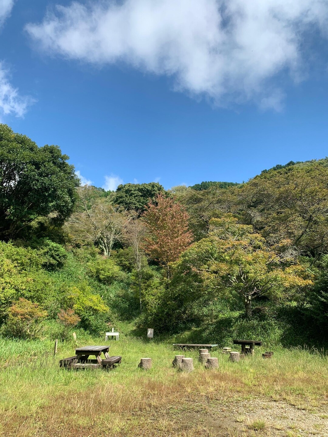 結構ハードな鳥見山・香酔山・貝ヶ平 2022.9.24 / yumi minさんの額井岳の活動データ | YAMAP / ヤマップ