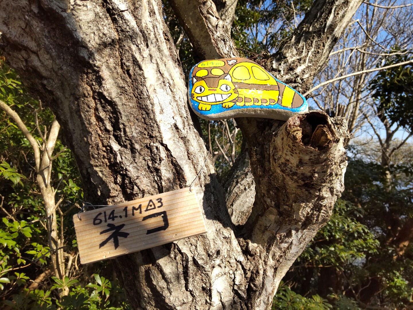 ネコ・笠岳 / satomi29さんの釈迦ヶ岳の活動データ | YAMAP / ヤマップ