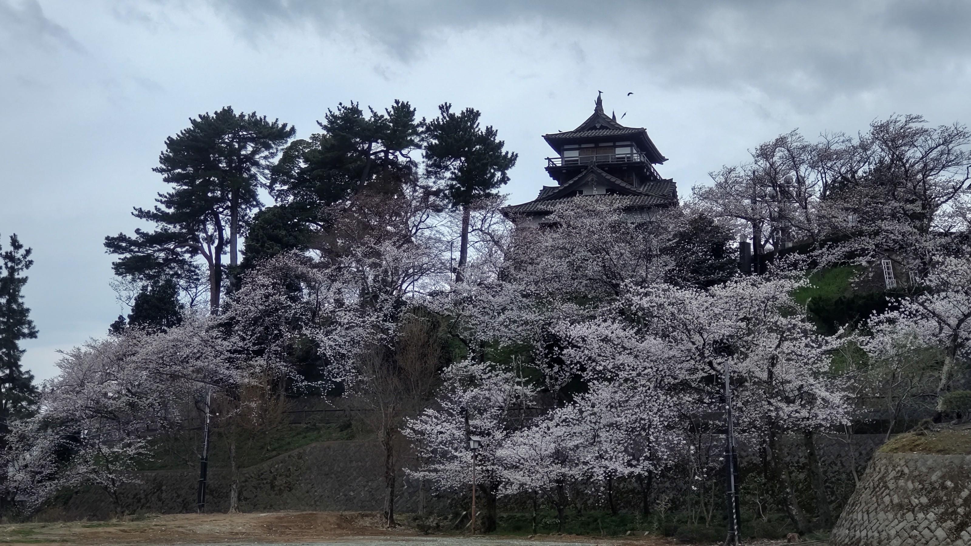 丸岡城 https://tabibto.... / てんぐのこさんのモーメント | YAMAP / ヤマップ