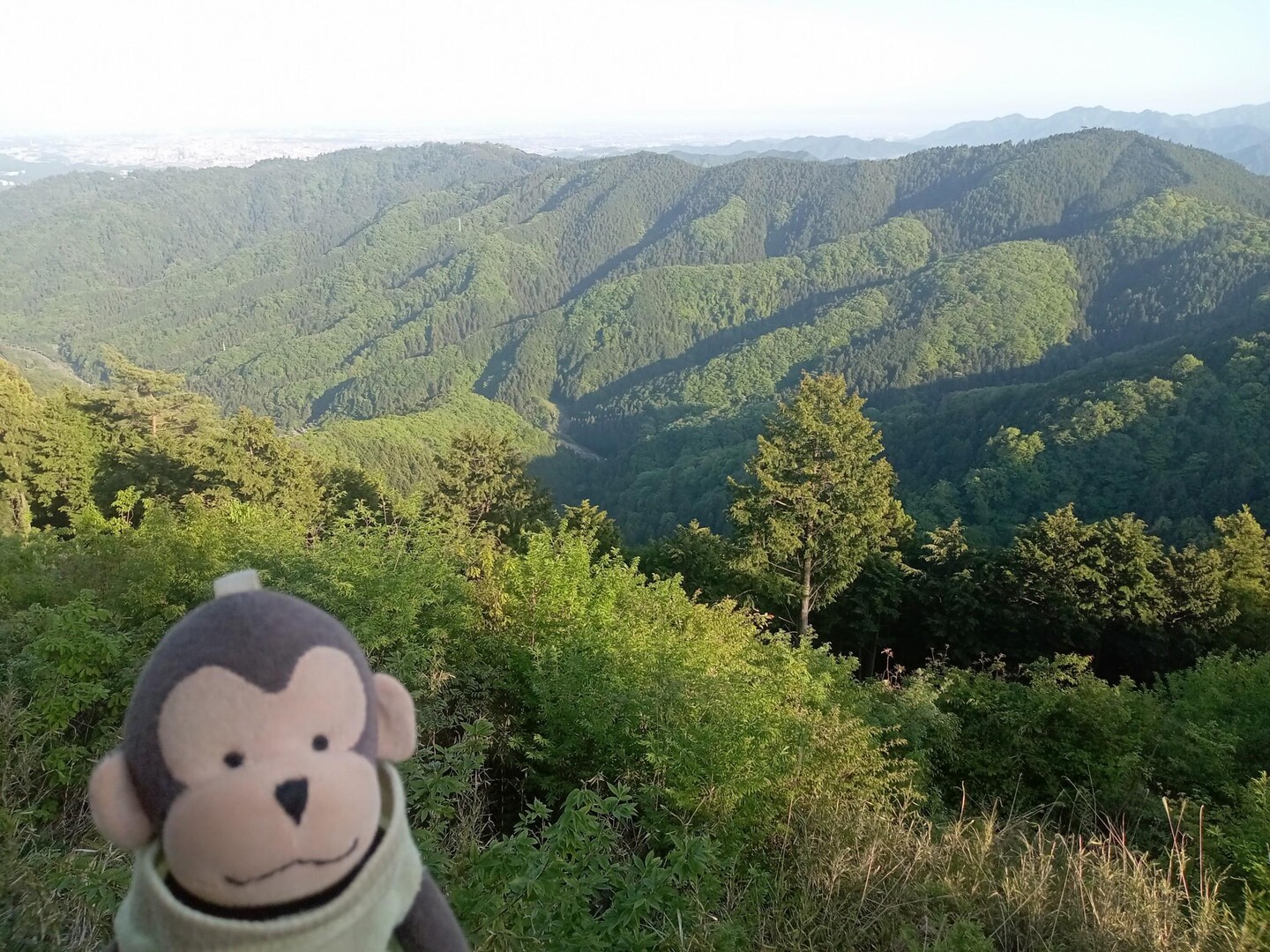 困った時はやっぱりここ！陣馬高原下〜陣馬山〜景信山〜小仏城山〜高尾山〜高尾山口 / monkichi_1さんの高尾山・陣馬山・景信山の活動データ | YAMAP / ヤマップ