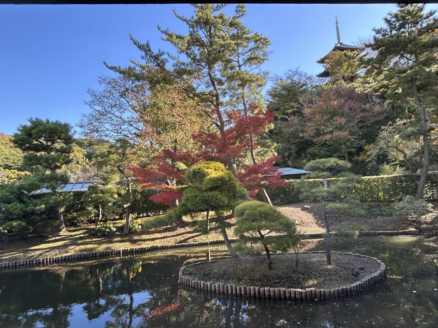 うららかな秋のお散歩🍁👘🍁 楽しい... / ayanonさんのモーメント | YAMAP / ヤマップ