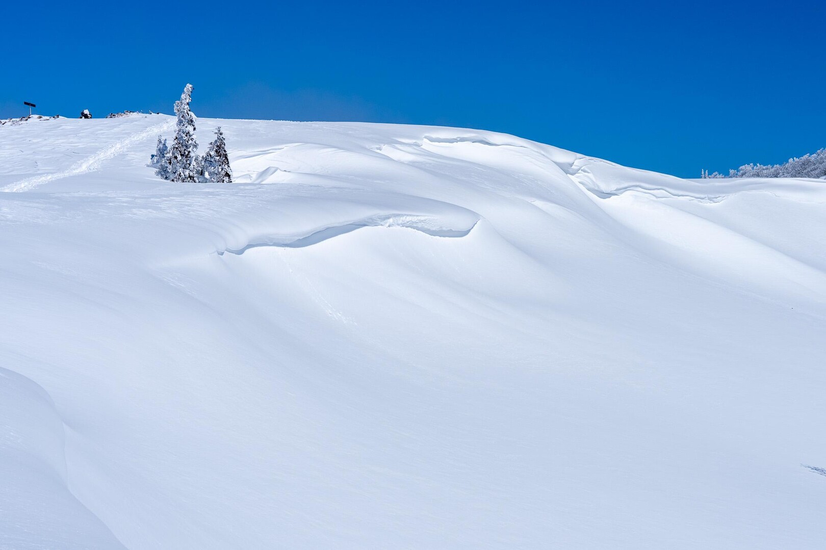 武奈ヶ岳 2023-02-22 / tetoさんの比良山地・武奈ヶ岳・釈迦岳の活動データ | YAMAP / ヤマップ