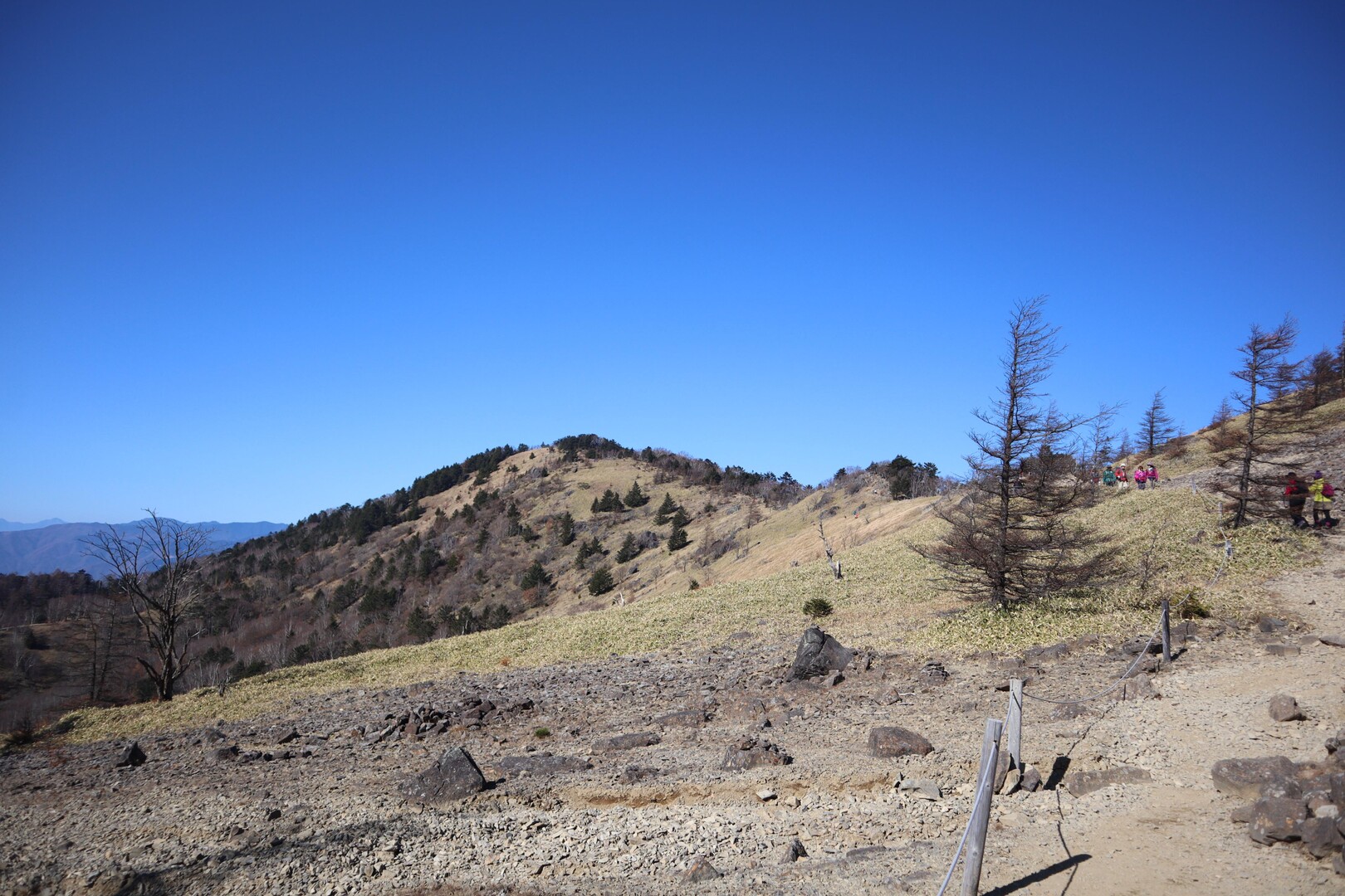 大菩薩嶺 / ポロさんの大菩薩嶺・鶏冠山・大マテイ山の活動データ | YAMAP / ヤマップ