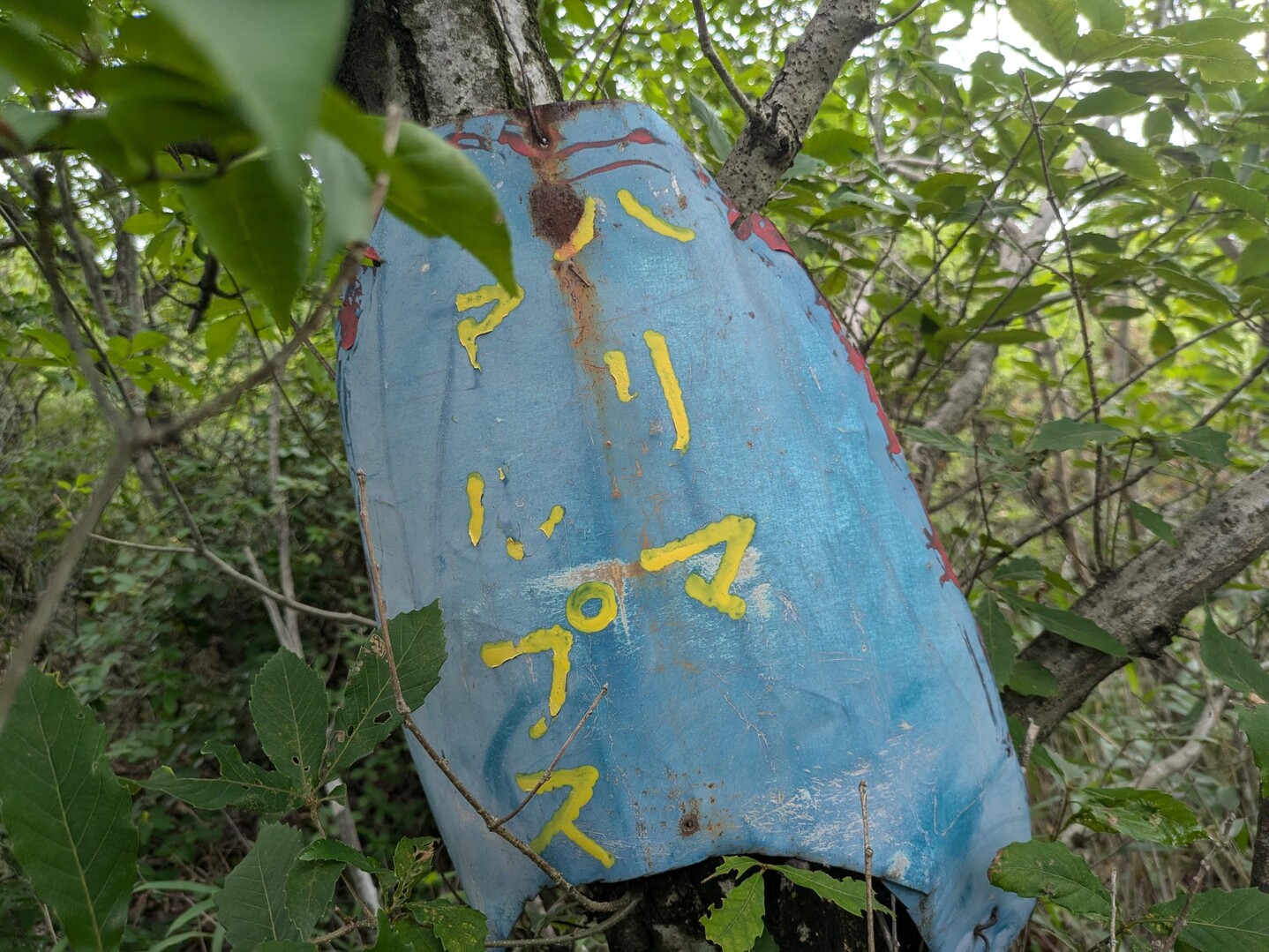 小野アルプス〜播磨アルプス / Makimakiさんの小野アルプス（紅山・惣山）の活動データ | YAMAP / ヤマップ