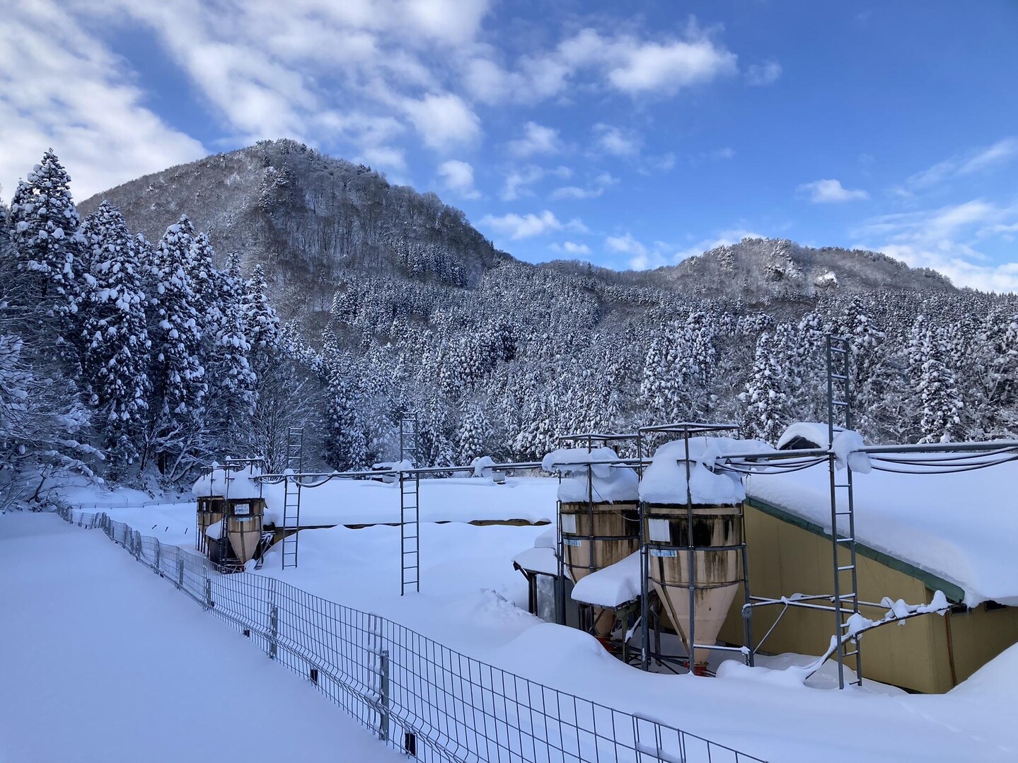 夫婦山（女峰・男峰）周回 / mierinさんの登山の活動データ | YAMAP / ヤマップ