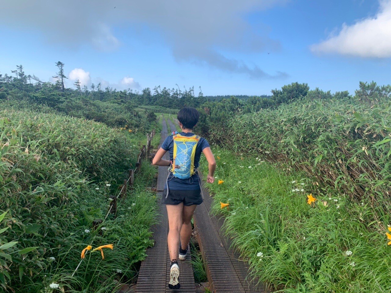 安比→八幡平→岩手山 縦走冒険！ / もえぴさんの岩手山・八幡平・安比高原 50km トレイルの活動データ | YAMAP / ヤマップ