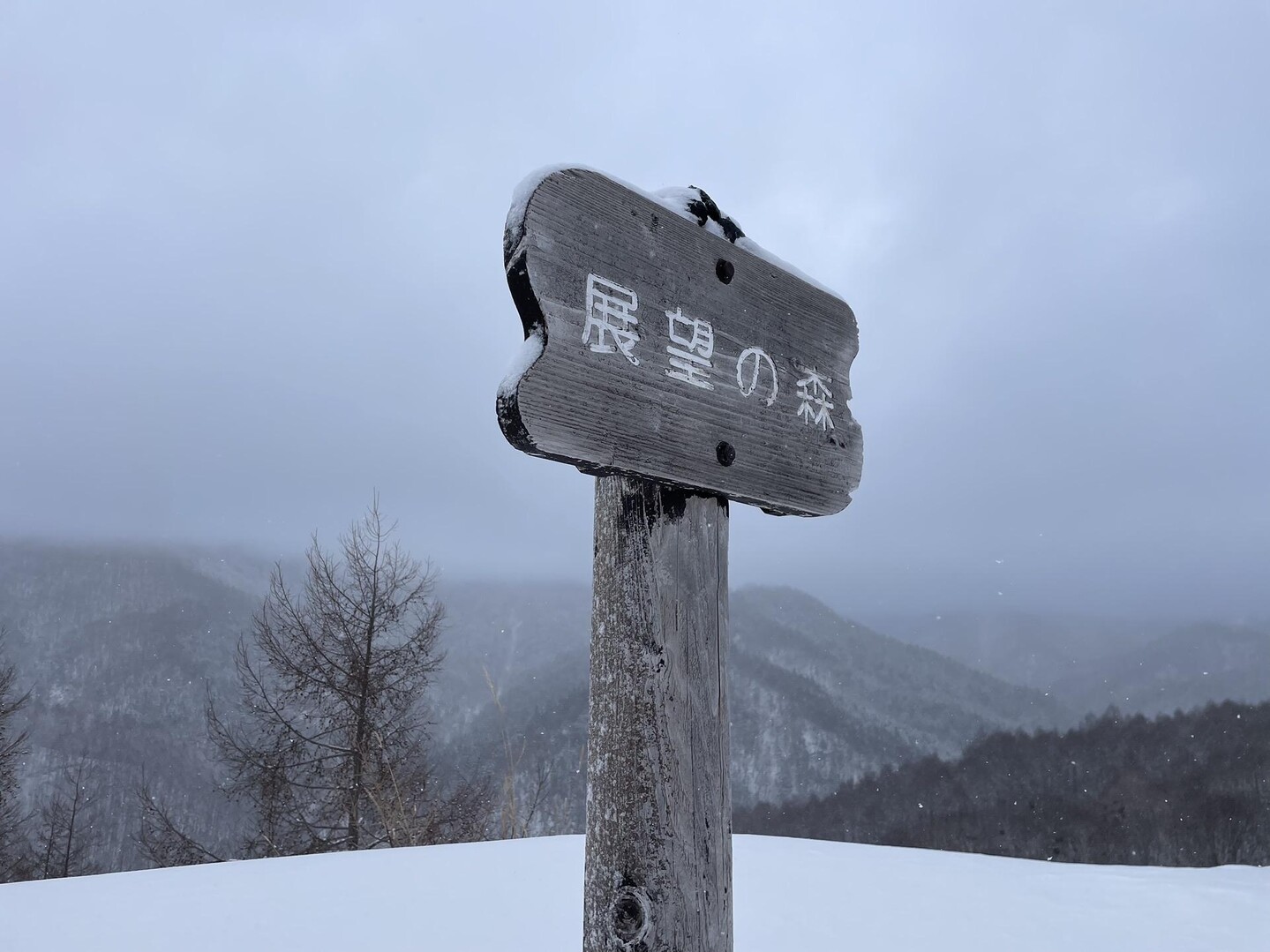 万字ズリ山 ️5️⃣5️⃣今シーズン初スノーシュー / mii500さんの幌向岳・ズリ山の活動データ | YAMAP / ヤマップ