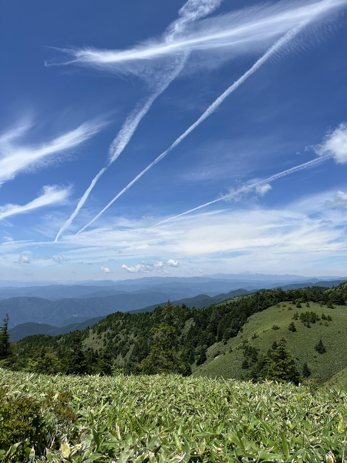 白草山 / misaさんの白草山・寺田小屋山の活動データ | YAMAP / ヤマップ