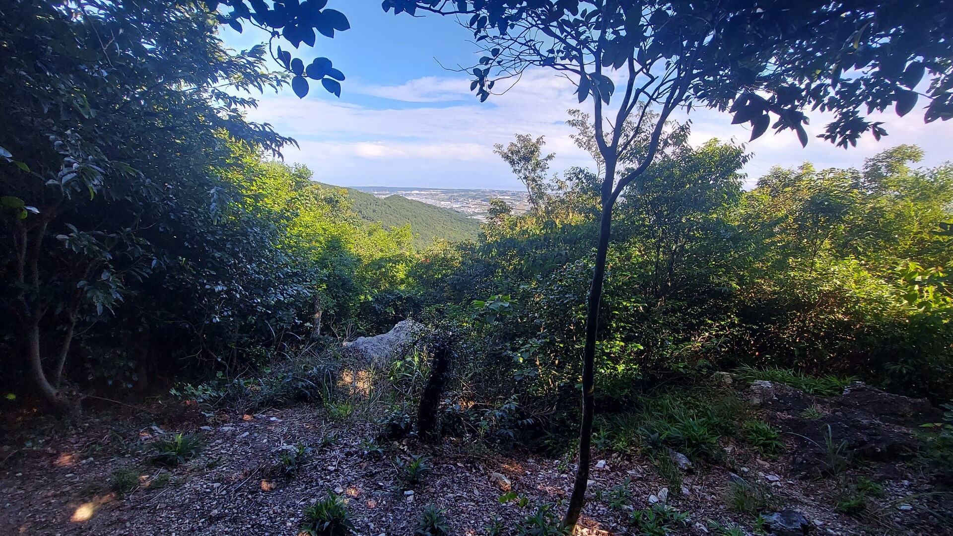 piropiroさんの投稿したフィールドメモ | YAMAP / ヤマップ