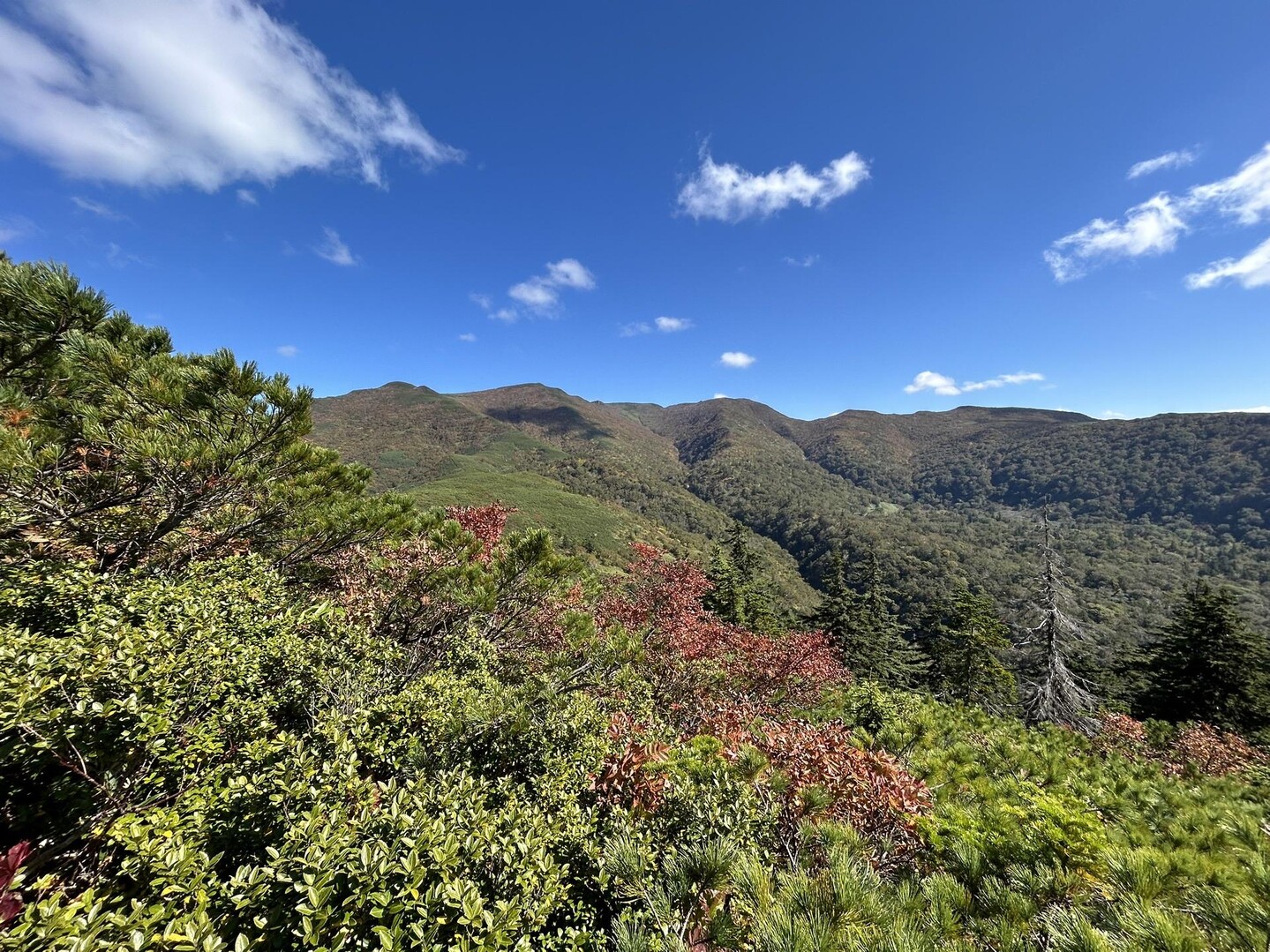 寝坊しちゃったの💧中山、、、。 / rucolaさんの目国内岳・雷電山の活動データ | YAMAP / ヤマップ