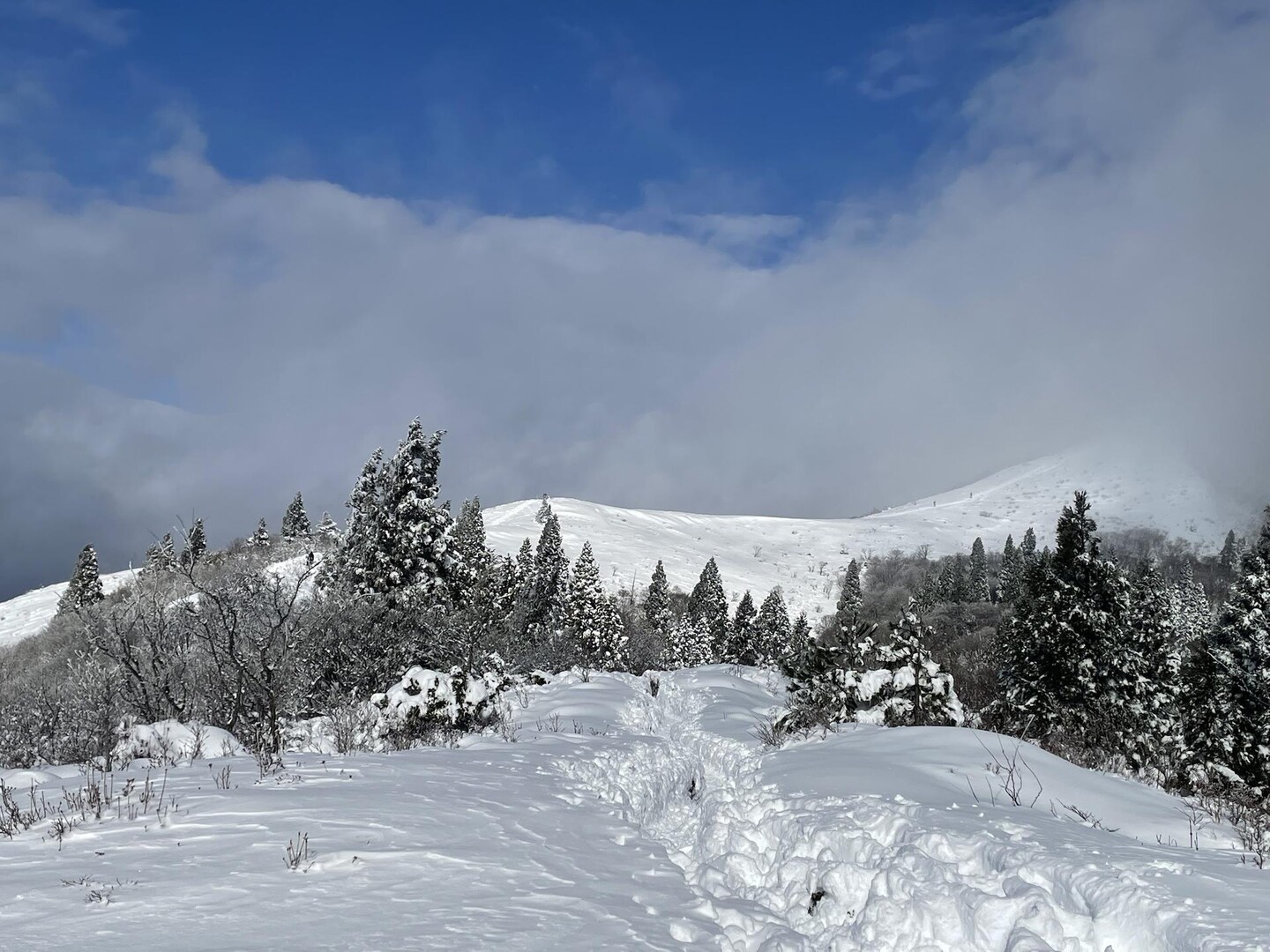 武奈ヶ岳で人生初の雪山登り ️ / kakoさんの比良山地・武奈ヶ岳・釈迦岳の活動データ | YAMAP / ヤマップ