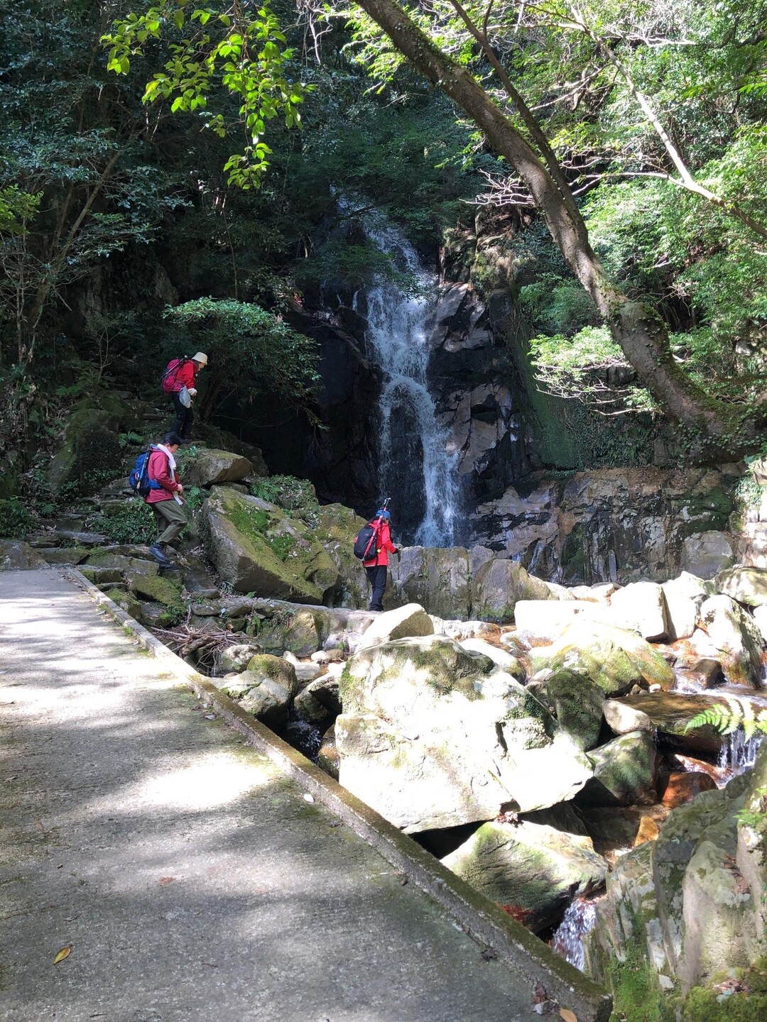 飛行石探検(￣^￣)ゞ6グレー＋雲野尾峠 / まりっぺガムさんの九千部山・石谷山の活動日記 | YAMAP / ヤマップ