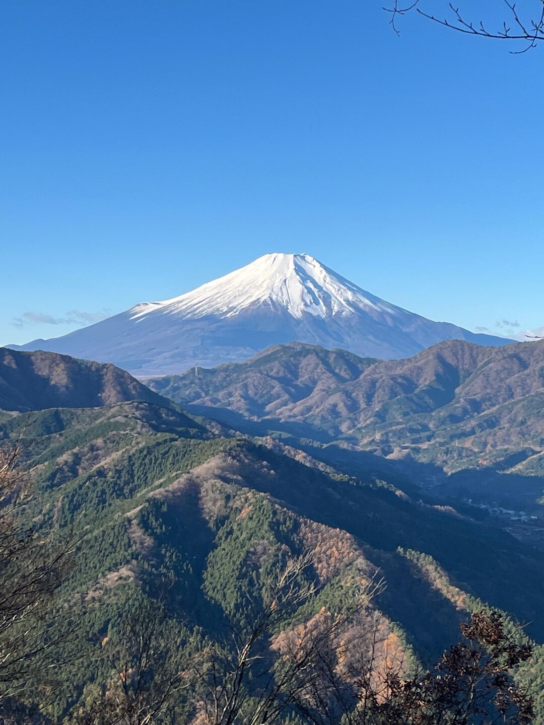 鳥ノ胸山のミッション♪♪ / asamiさんの大室山・畦ヶ丸山・菰釣山の活動データ | YAMAP / ヤマップ