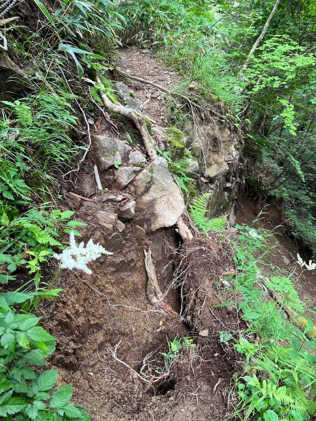 zenさんの投稿したフィールドメモ | YAMAP / ヤマップ