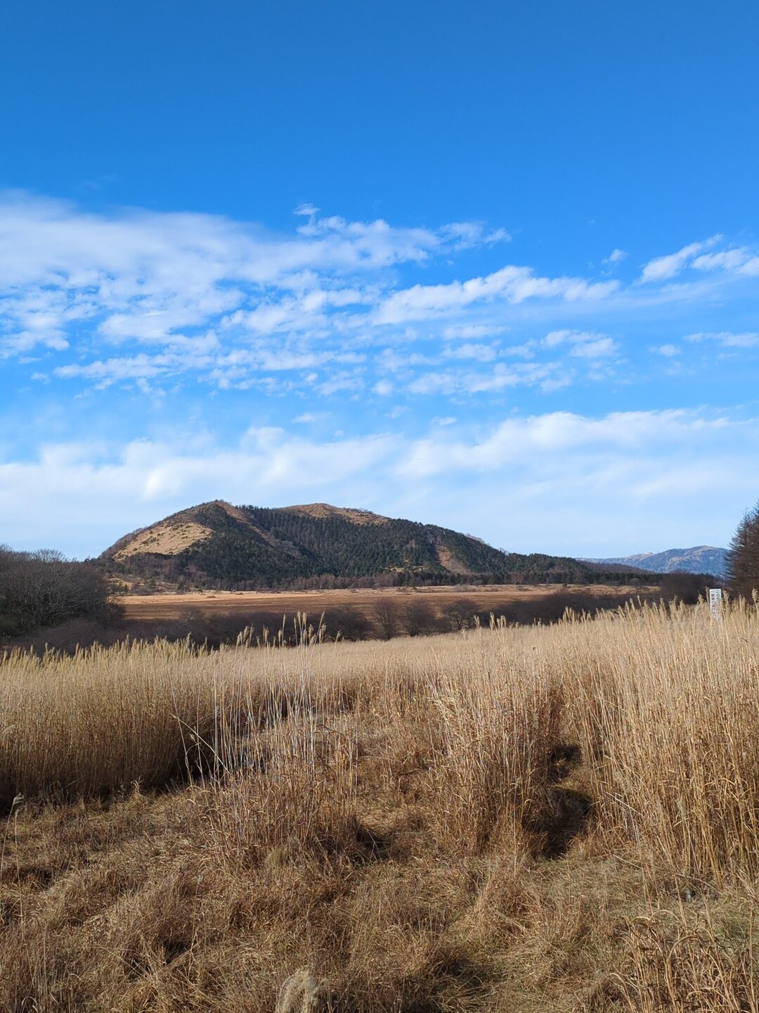 鷲ヶ峰 / reoさんの霧ヶ峰・車山・大笹峰の活動データ | YAMAP / ヤマップ