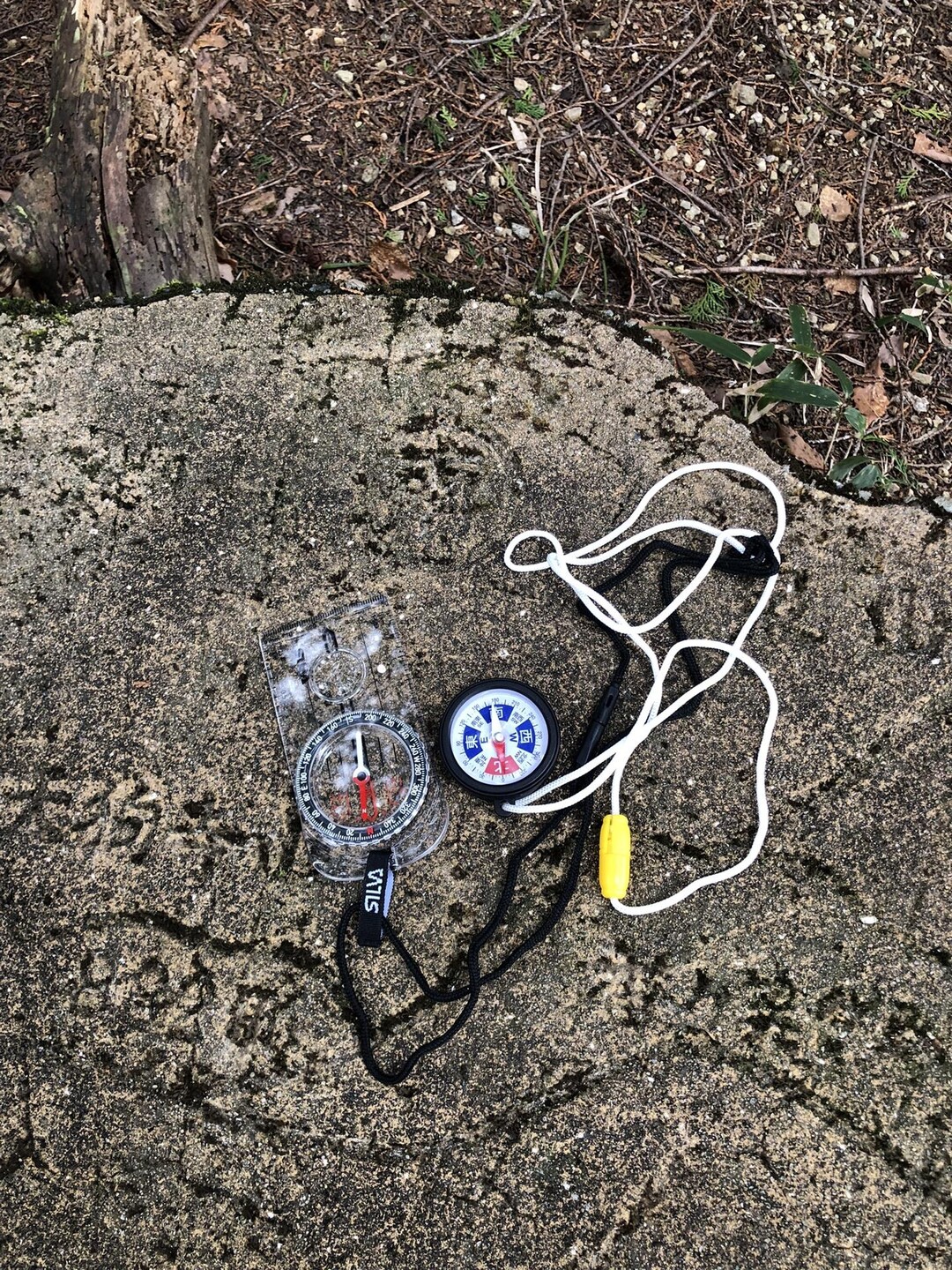 角ヶ仙 / おたすけられマンさんの角ヶ仙の活動データ | YAMAP / ヤマップ