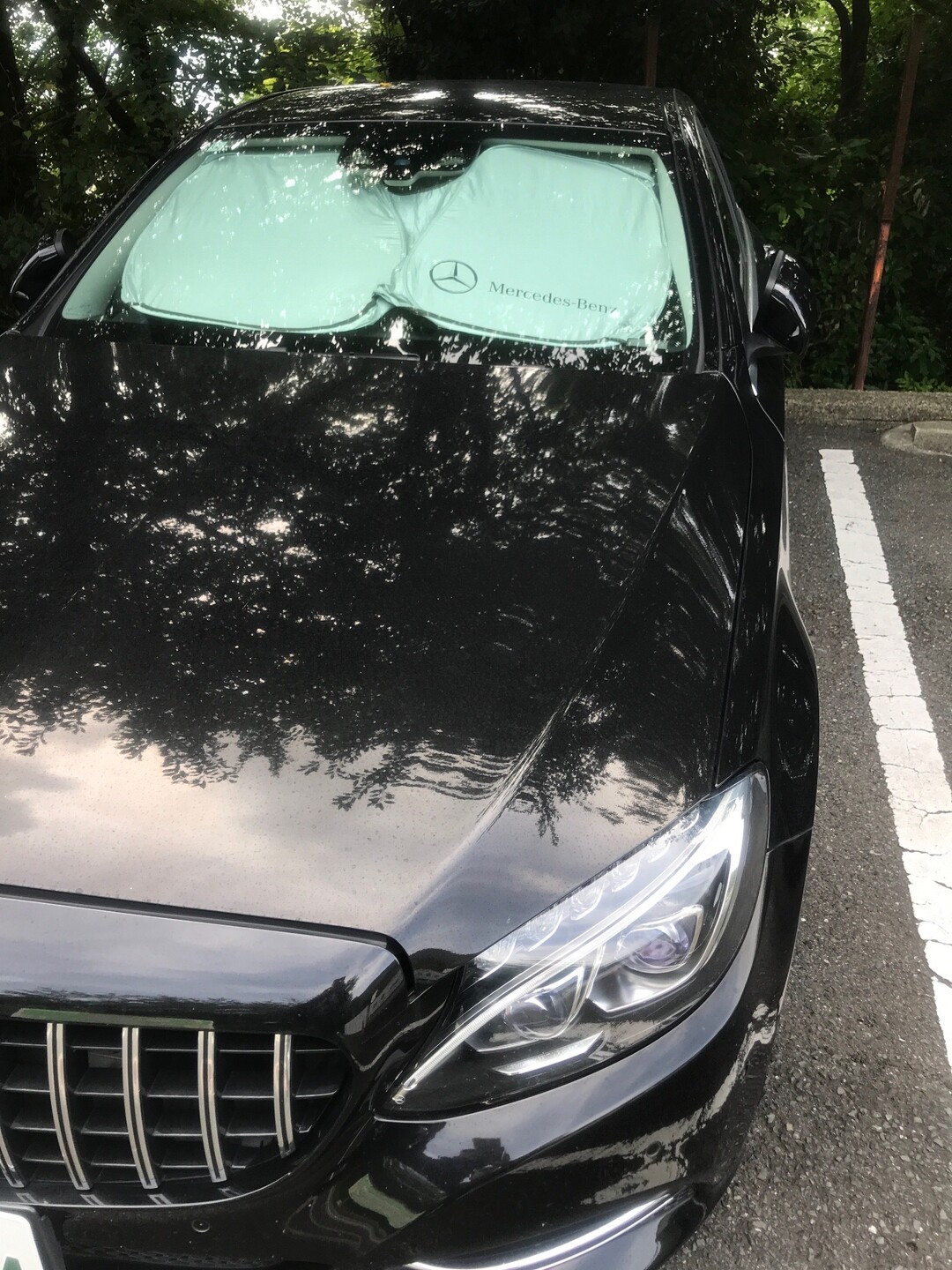 Meeyaさんの投稿したフィールドメモ | YAMAP / ヤマップ