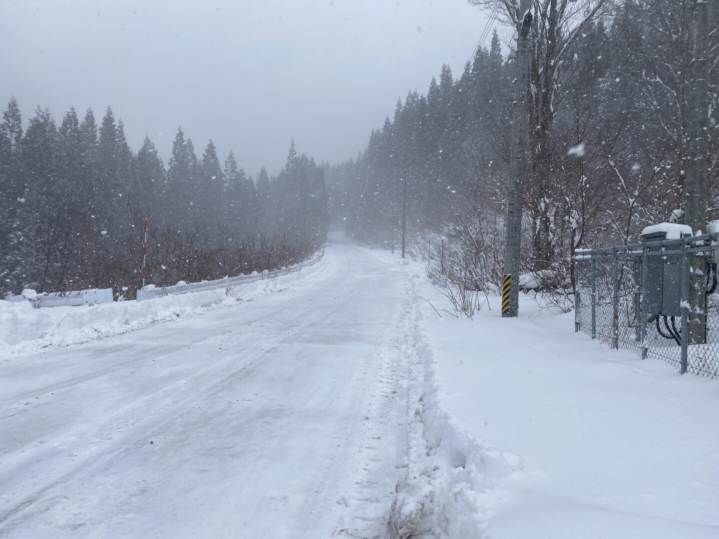 【柳沢小屋】モフモフ散歩 / R_MAXさんの船形山（御所山）・泉ヶ岳・蛇ヶ岳の活動データ | YAMAP / ヤマップ