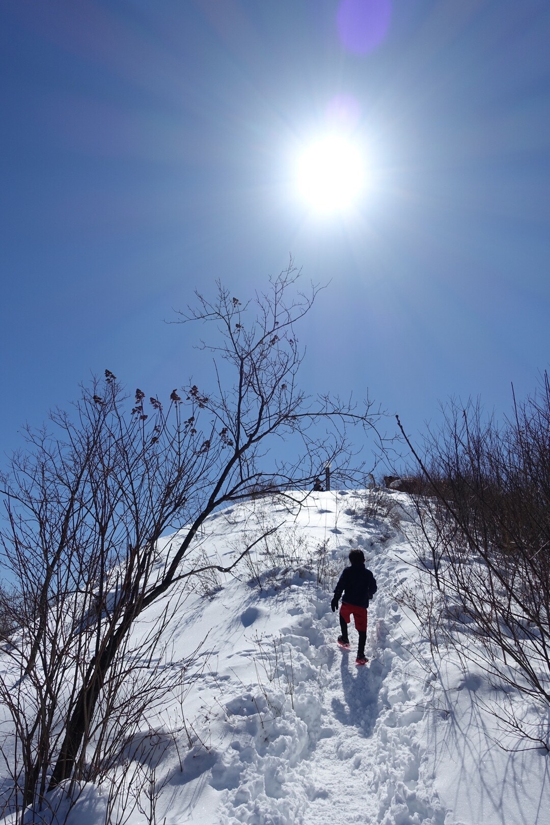 霧訪山（みどり湖駅〜） / 山と飯 U.L.HIKEさんの霧訪山・大芝山・鳴雷山の活動日記 | YAMAP / ヤマップ