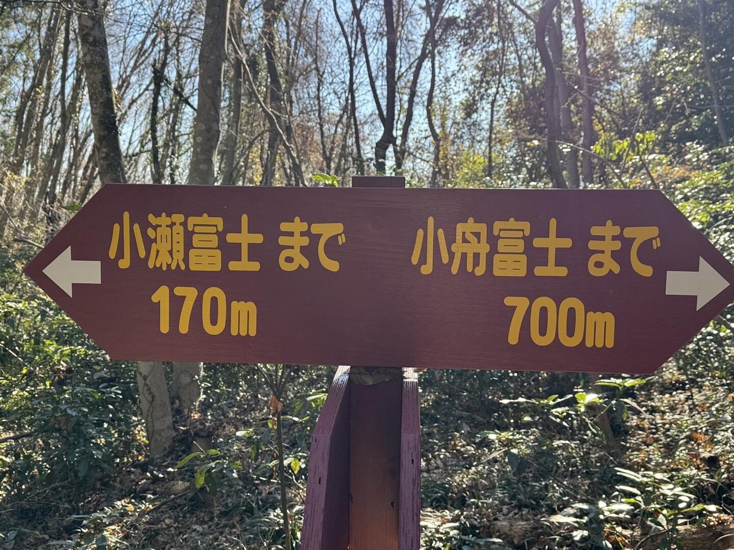 🎉祝 100座達成 砂羅向山・小舟富士・小瀬富士 / cobalt さんの小舟富士・小瀬富士の活動データ | YAMAP / ヤマップ