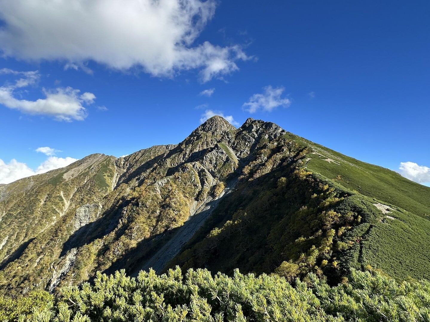 塩見岳 / yyさんの塩見岳・権右衛門山・蝙蝠岳の活動データ | YAMAP / ヤマップ