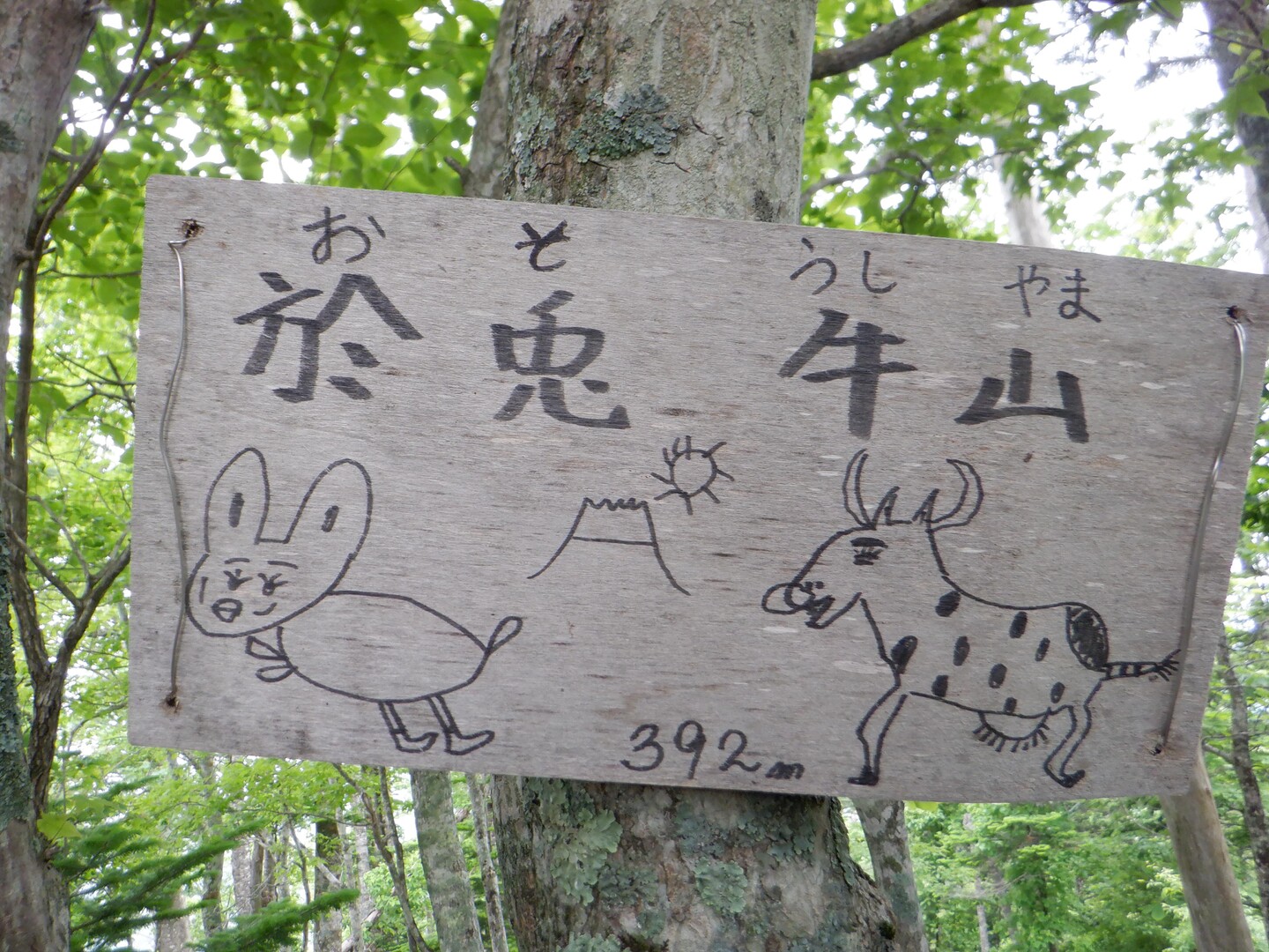 於兎牛山、クオベツ山、シアビラヌプリ / sapさんの雨霧山の活動データ | YAMAP / ヤマップ