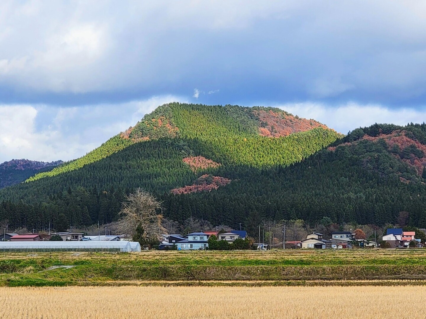 高森（商人留・大館TG21） / スローライフ！さんの鳳凰山の活動日記 | YAMAP / ヤマップ