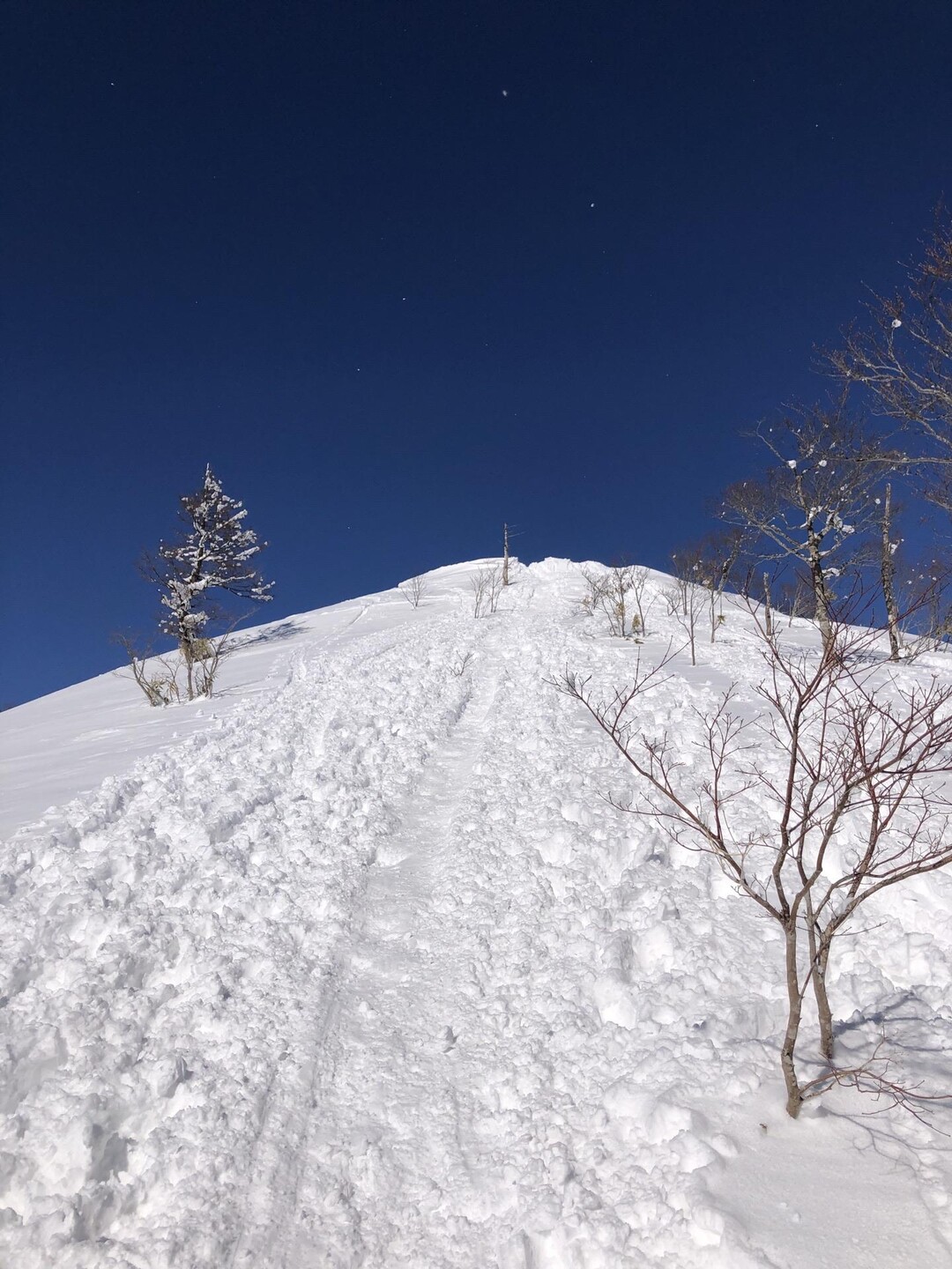 猪臥山 / aspiさんの猪臥山の活動データ | YAMAP / ヤマップ